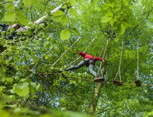 Tree Surfers - Adventure Cornwall